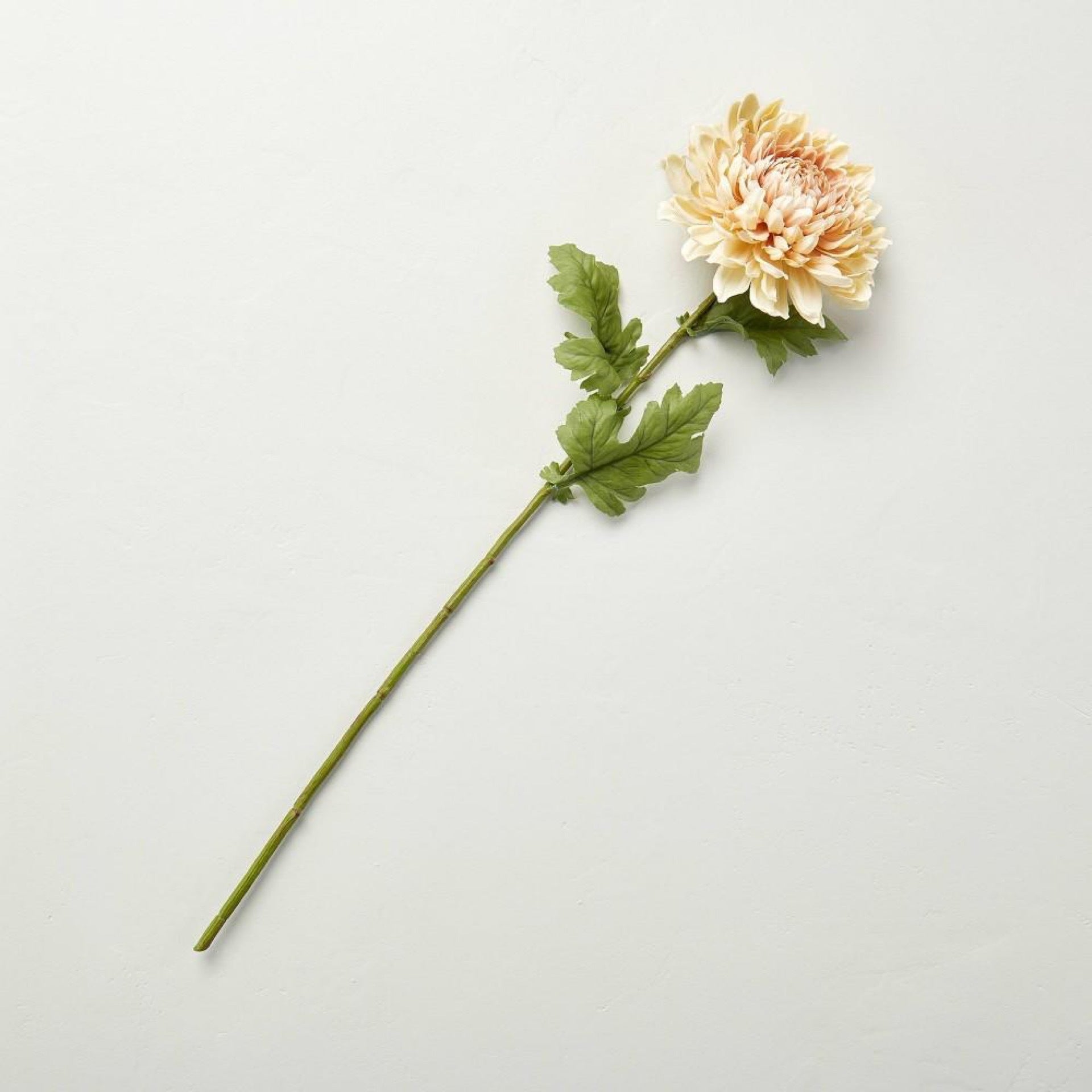 25" Faux Off-White Mum Flower Stem | Vintage Market at The Old Red Barn